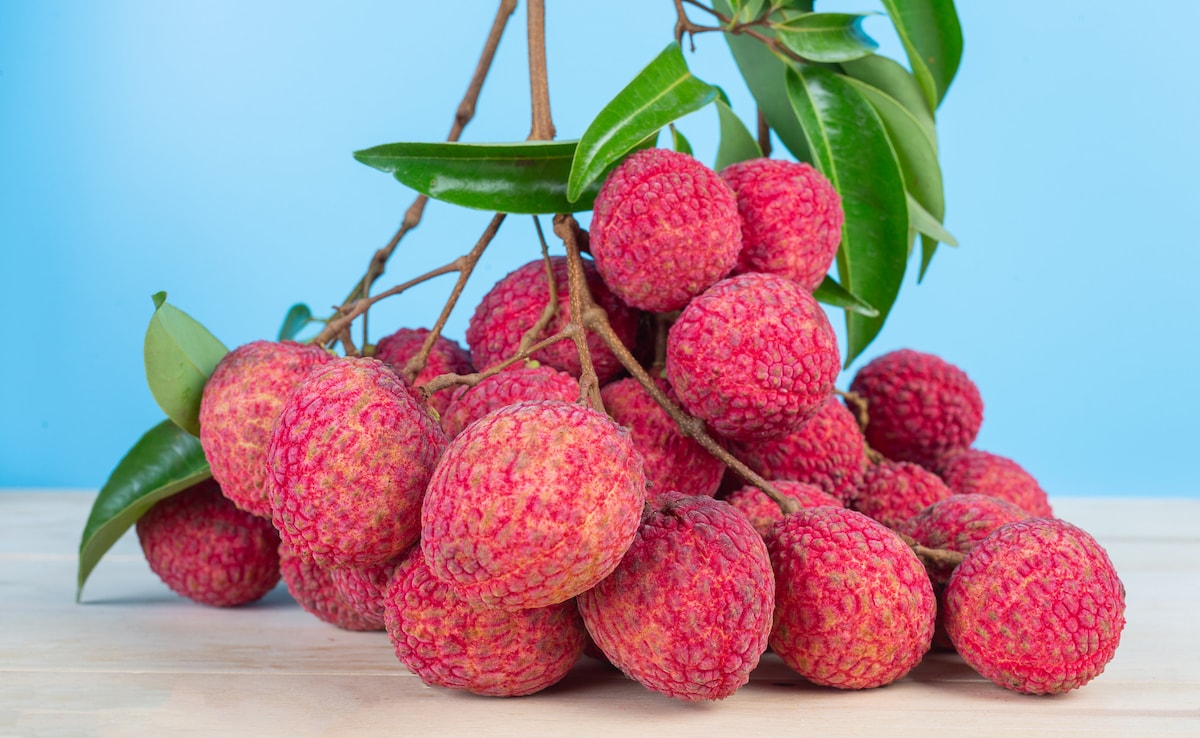 Why you should never eat lychee on an empty stomach: Doctor explains ...