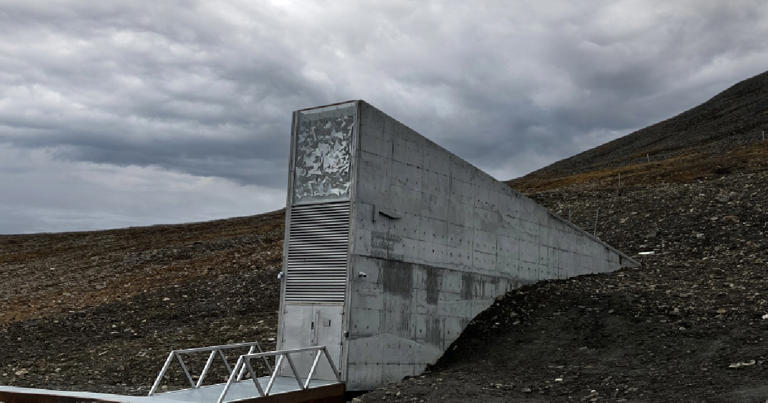 El Banco Mundial de Semillas de Svalbard cosecha Premio Princesa de ...
