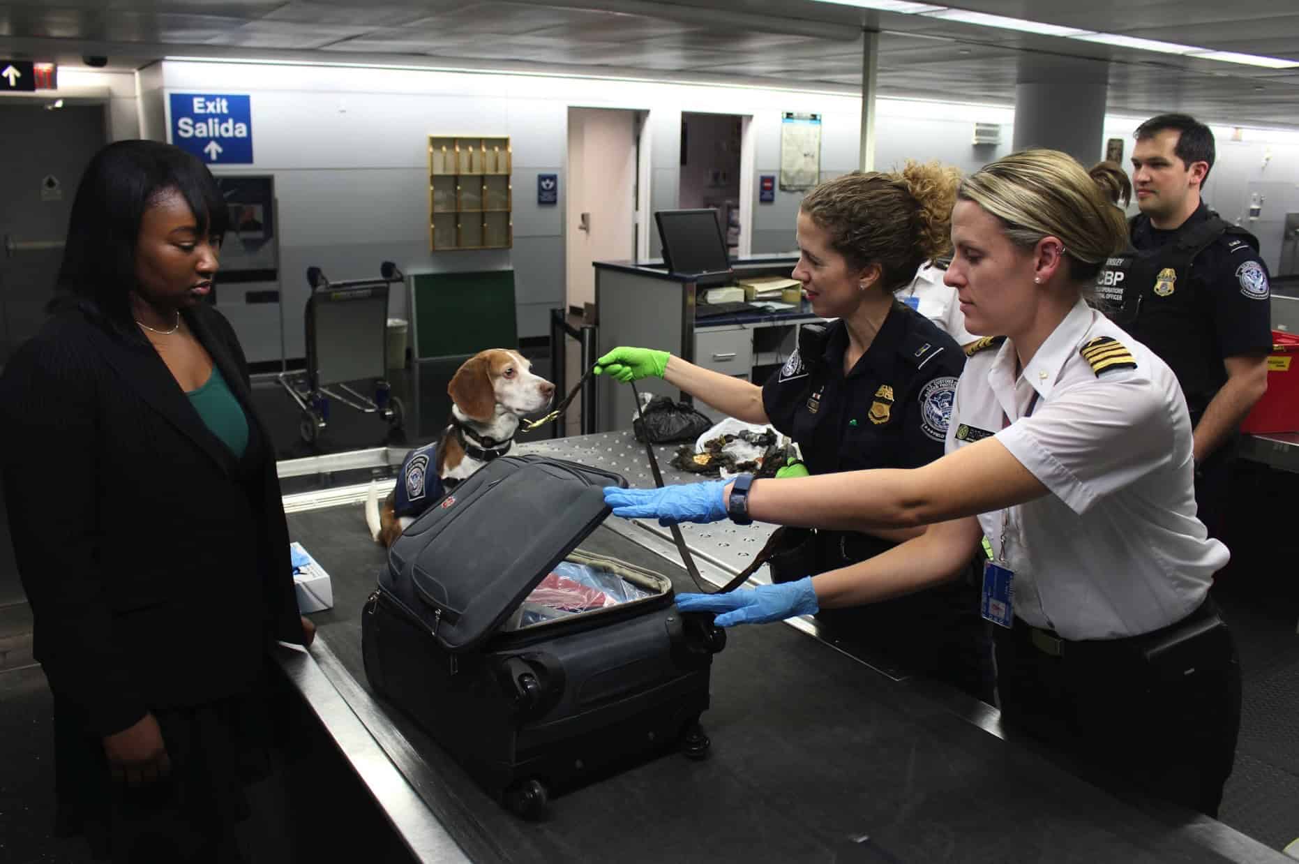 TSA now allows medical marijuana on flights