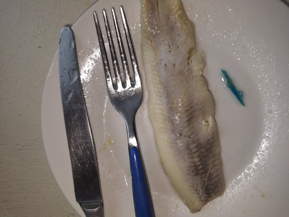 Rybka z plastikową wkładką? – Dobrze, że w porę to zauważyłam i nie ...