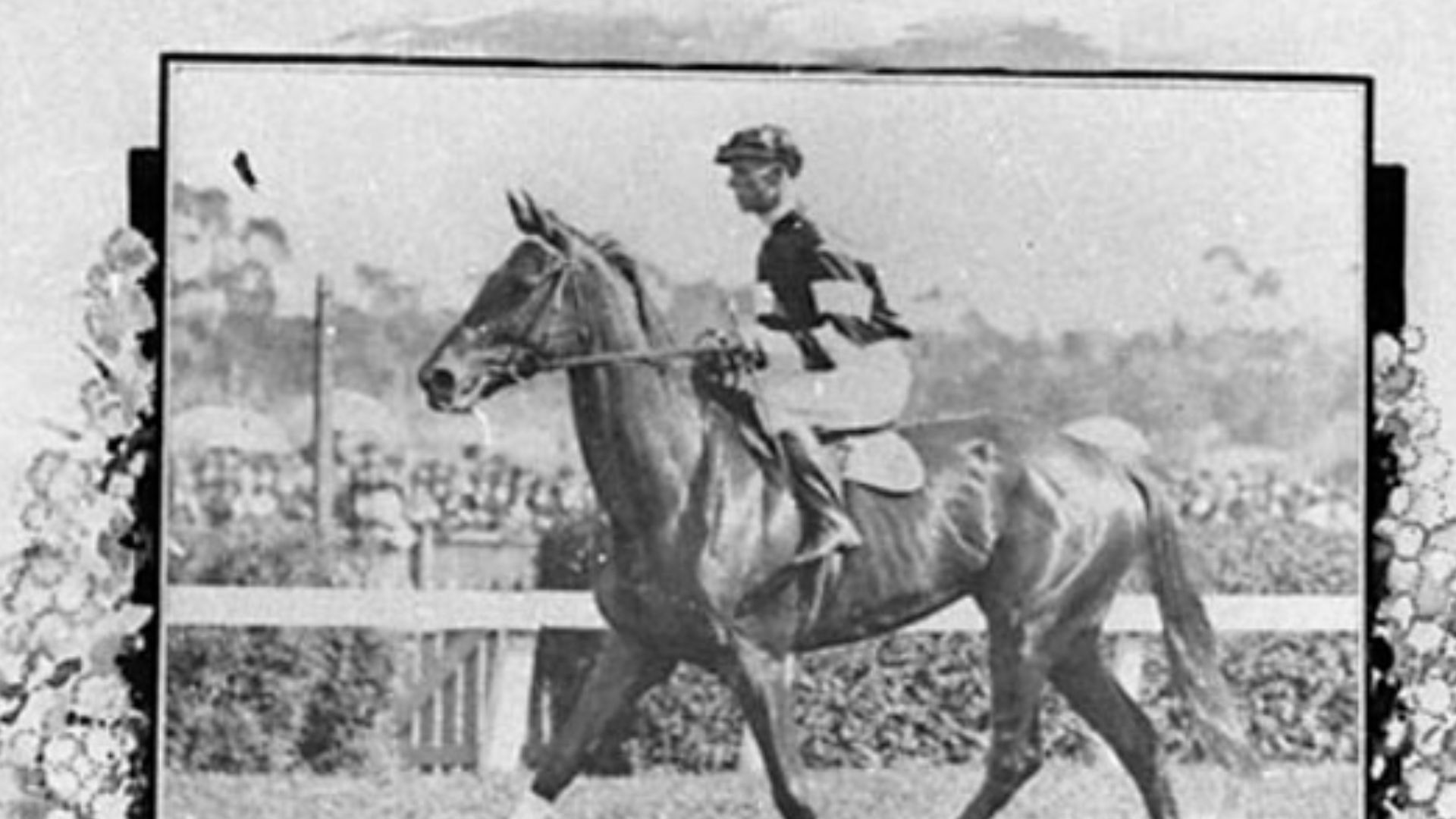 Phar Lap carried Triple Crown dreams to American shores—but the cause ...