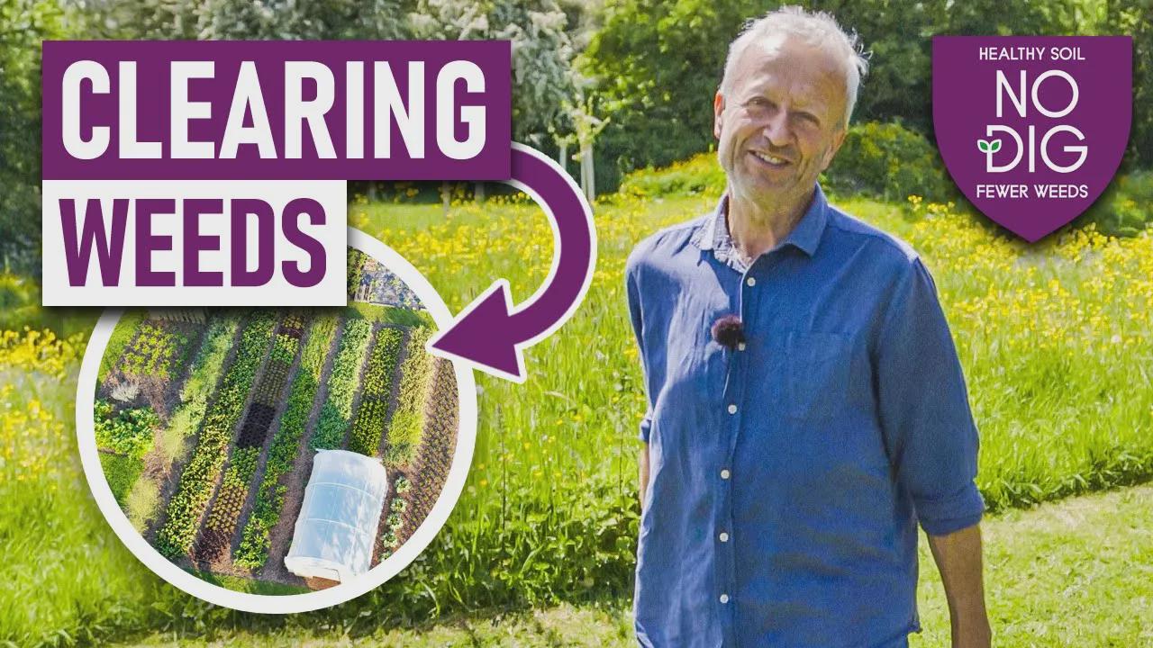 Clearing weeds no dig, time-saving results over two years