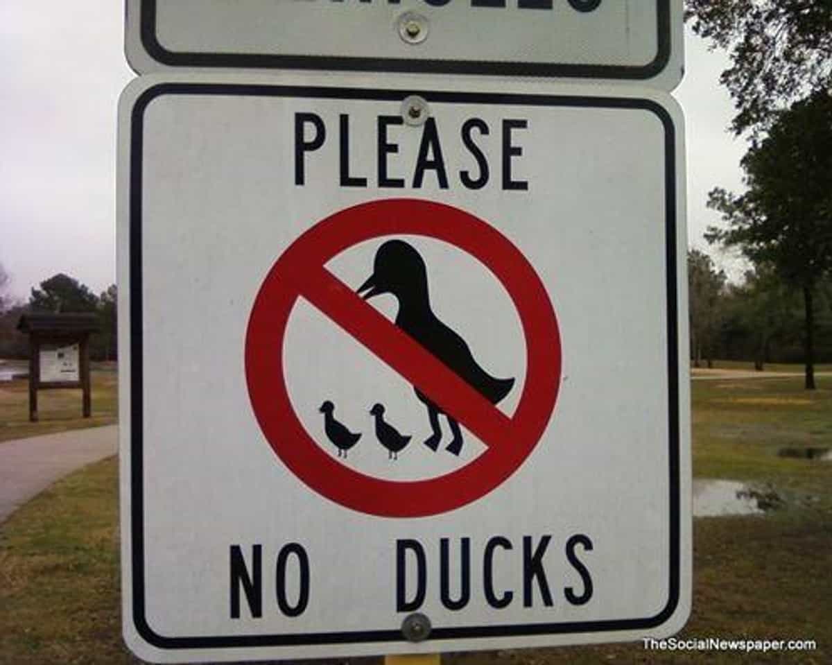 Explanatory signs