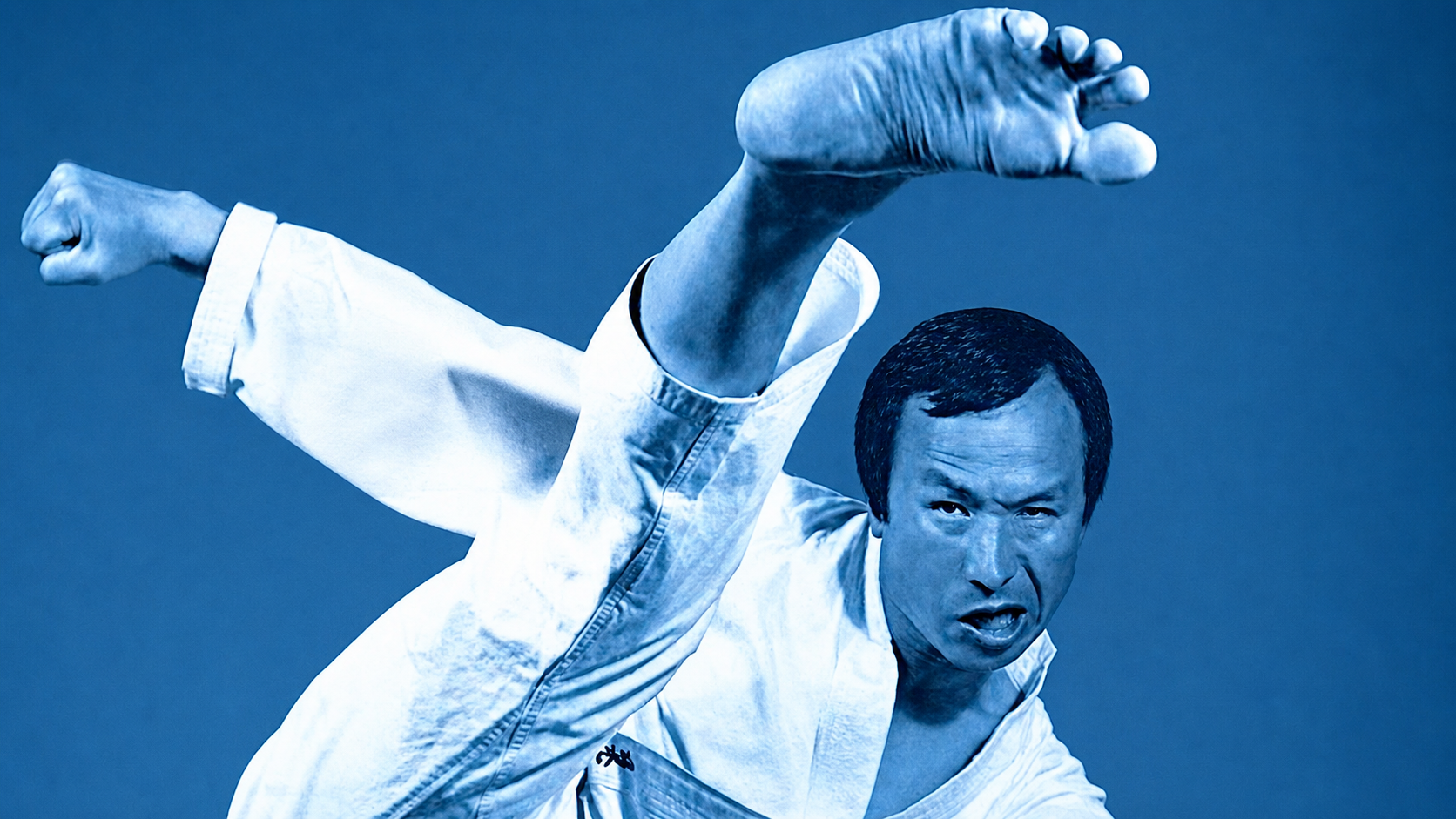 How French kickboxing influenced modern karate techniques