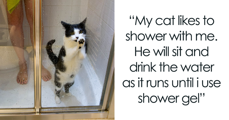 People share 65 hilarious habits their pets have and they’re too good