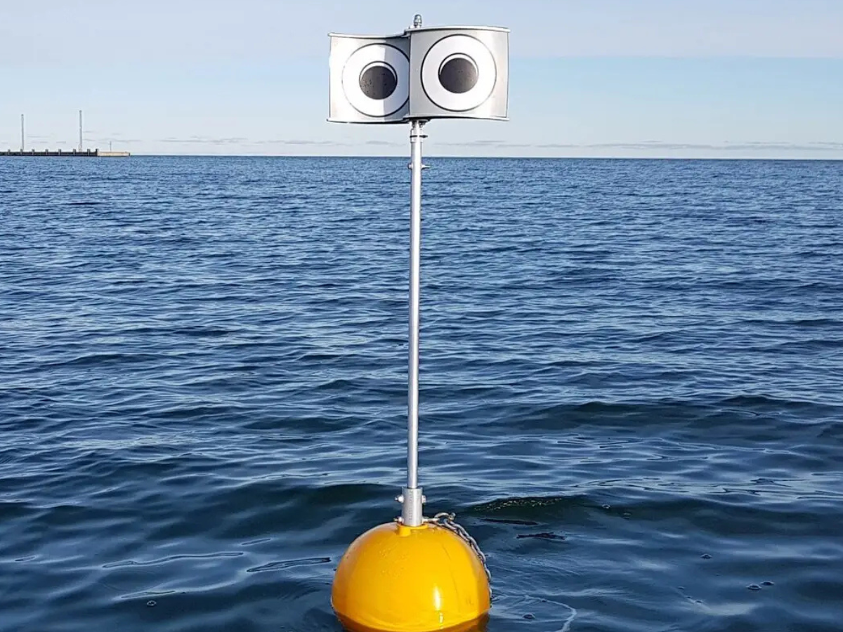 Researchers stuck a pair of googly eyes on the coast of Denmark and let ...