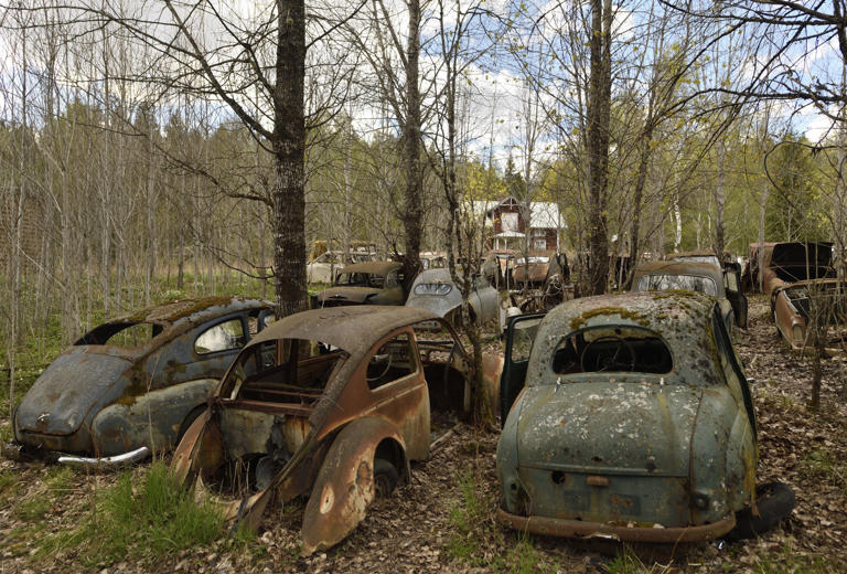 Inside the eerie Swedish forest where hundreds of classic cars were ...