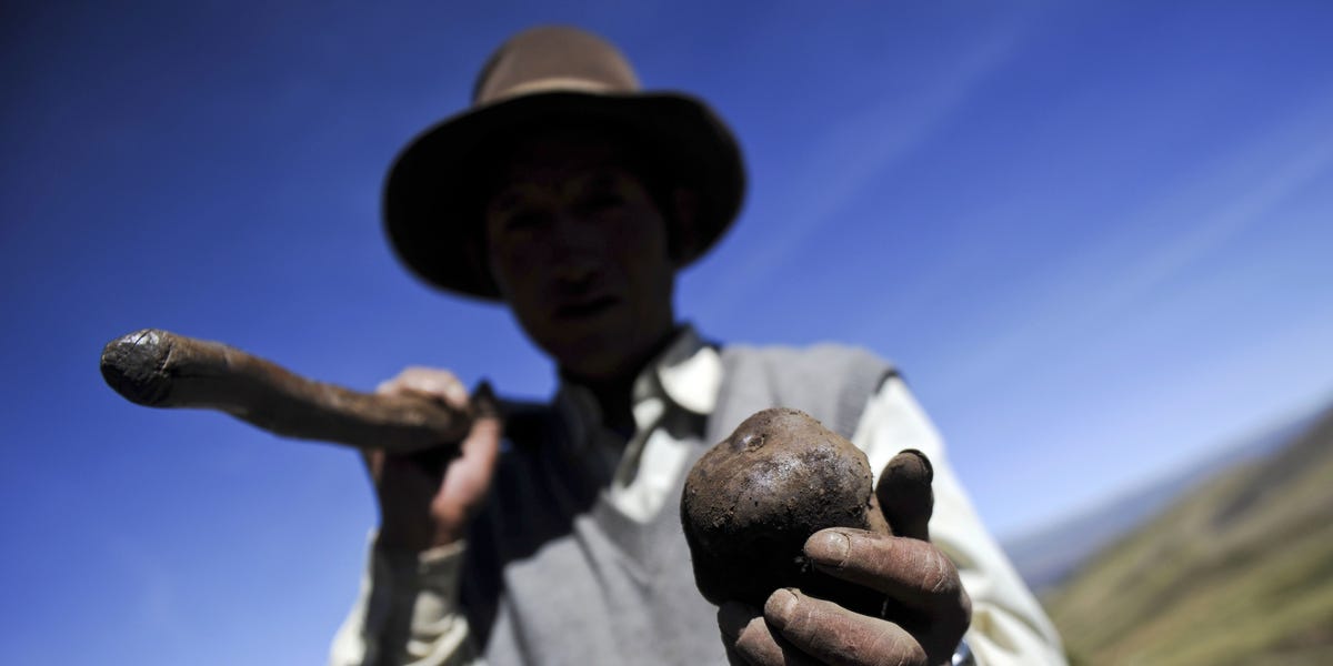 Scientists discovered a population developed a genetic superpower ...