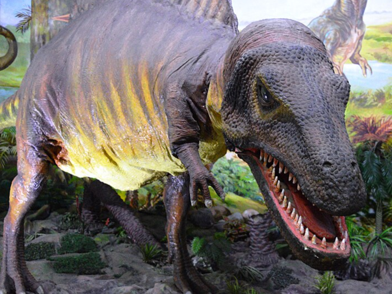 Why did T rex have such tiny arms?