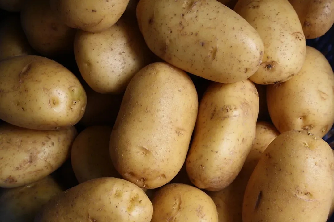 Home experts say you should stop storing these foods in the kitchen ...