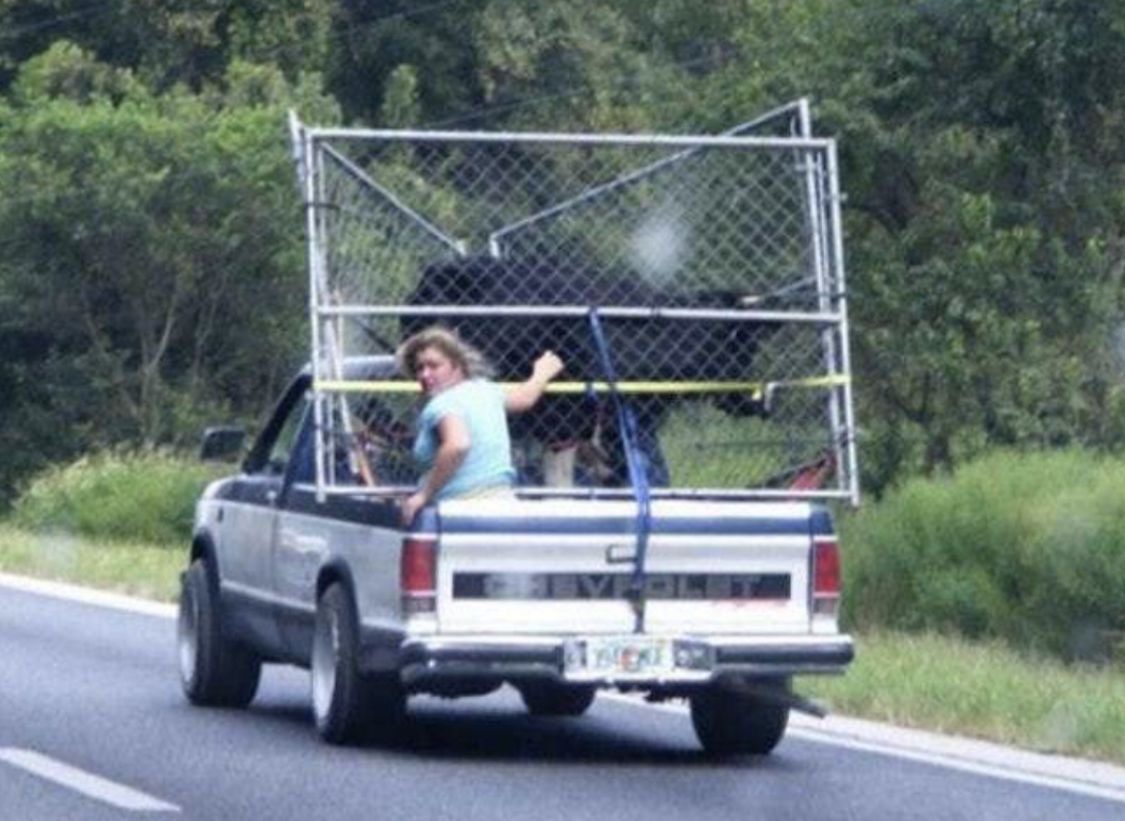 20 photos where common sense is far, far away