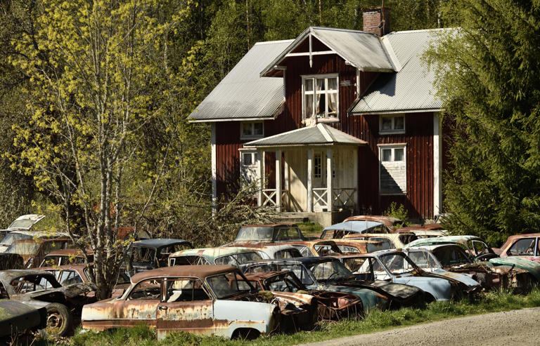 Inside the eerie Swedish forest where hundreds of classic cars were ...