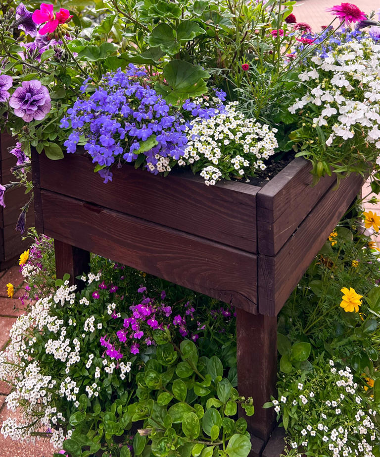 Want to transform an awkward corner of your yard? ALDI's Belavi cube ...