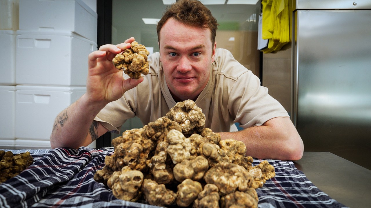 Watch how real white truffles are hunted deep underground