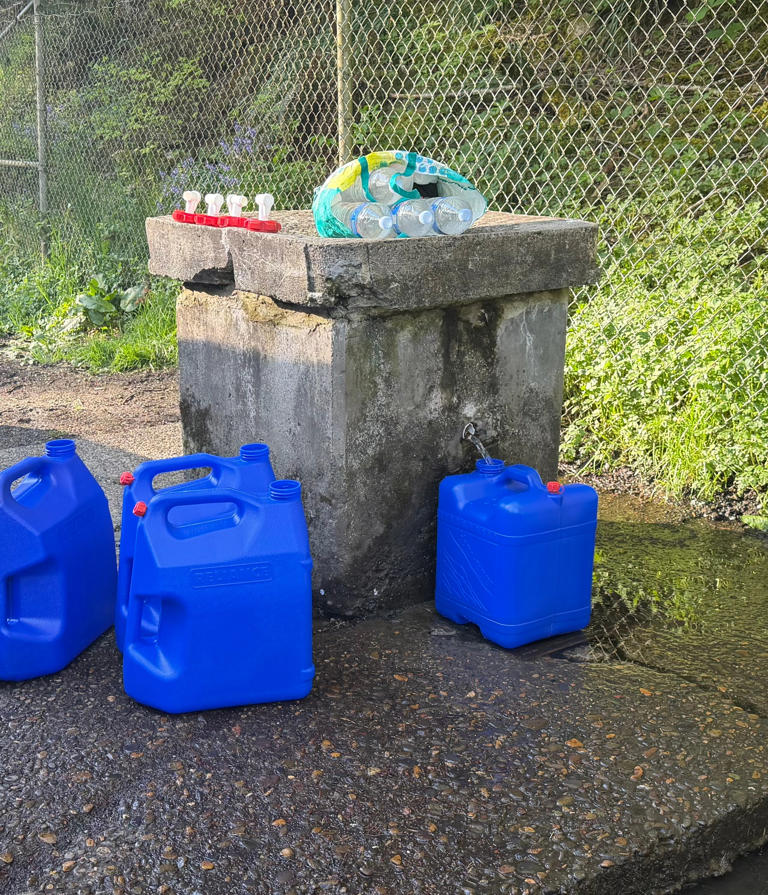 Did you know there's a secret mountain spring on the Oregon Coast Range?