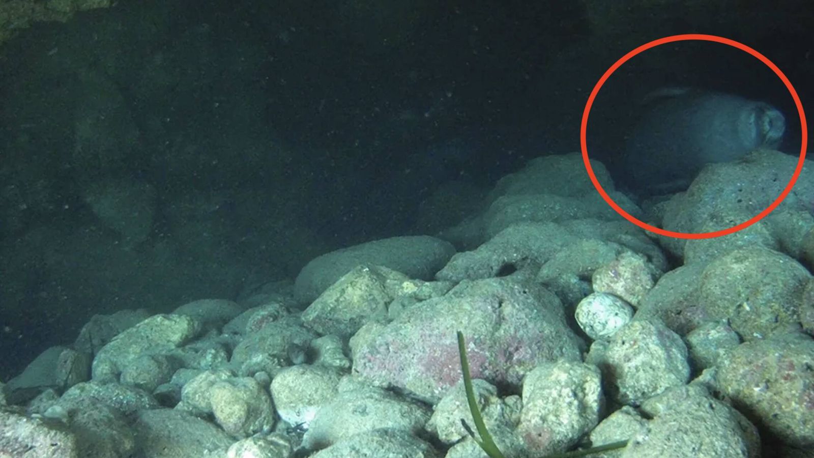 Grecia arroja una cámara dentro de una cueva submarina y graba al ...