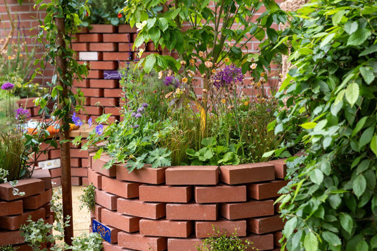 3 fast-growing plants spotted everywhere at the RHS Chelsea Flower Show