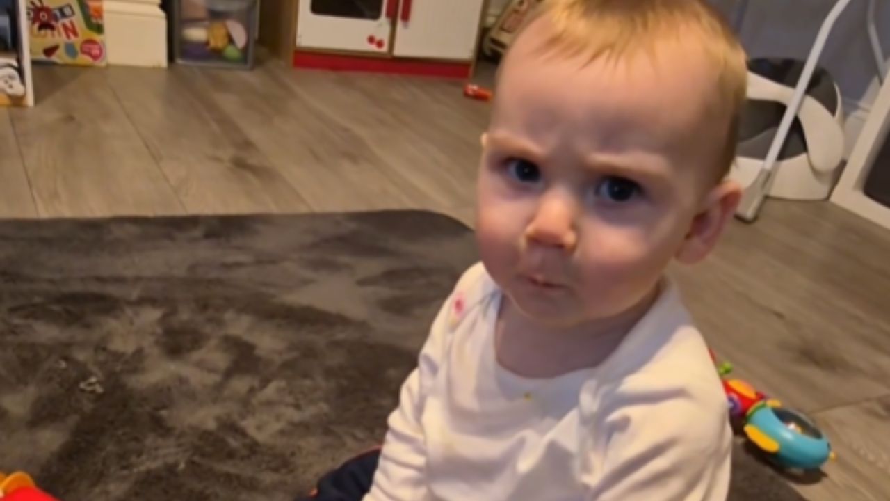 Little boy tries to bite a cat’s tail before mom stops him