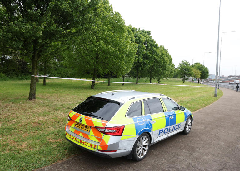 Belfast man allegedly trailed ex-partner into bushes beside dual ...