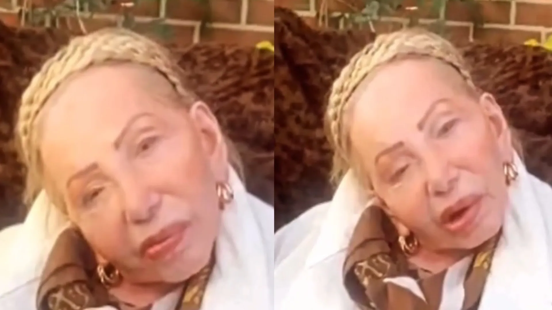 Betty Grafstein reaparece antes do início de julgamento. "Digo a verdade"