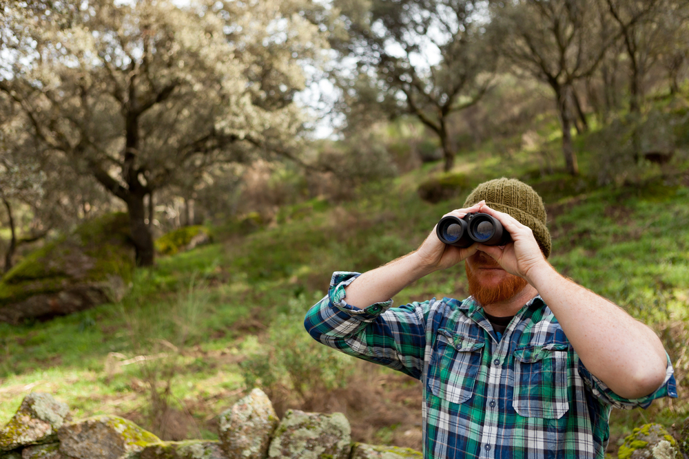 17 birdwatching hotspots abroad