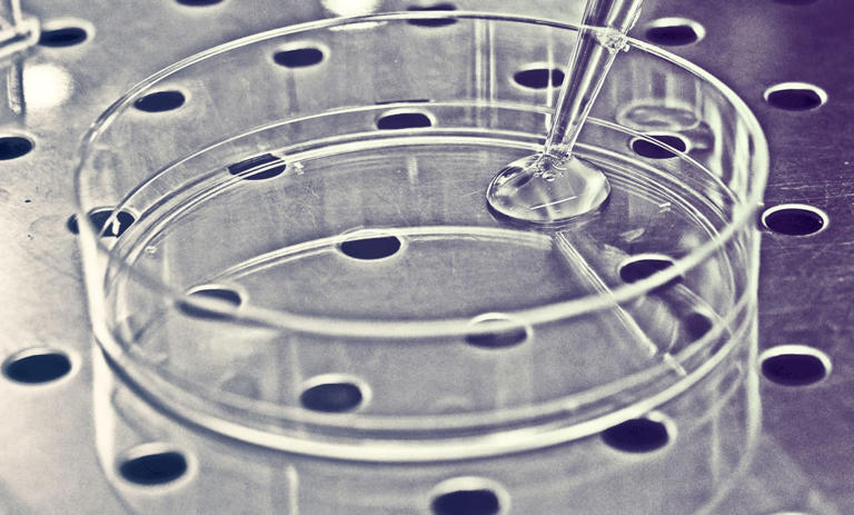 2 biotech stocks are surging today thanks to this arthritis drug