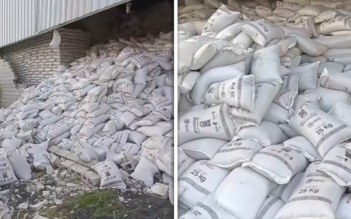 Frijol almacenado y sin distribuir agrava conflicto de productores en ...