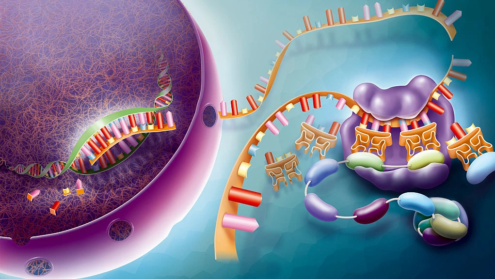 New protein mapping tech reveals hidden cell processes