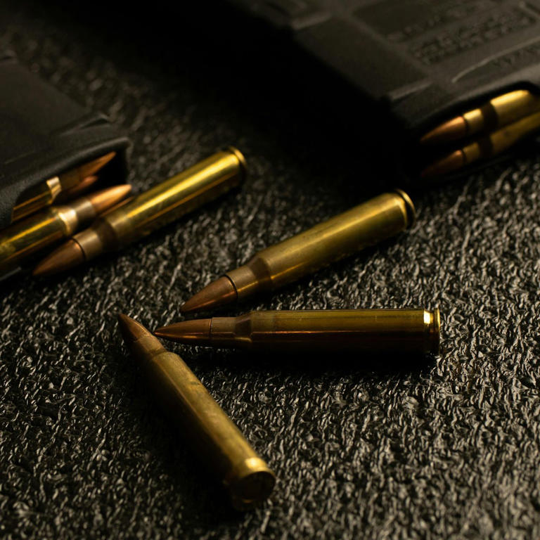 Why the 308 Winchester is still the most argued about hunting caliber ...