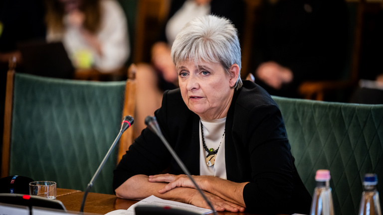 Lannert Judit bejelentette, ki lesz a kora gyermekkori jóllétért ...