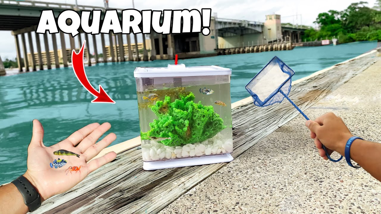 WORLDS Smallest SALTWATER AQUARIUM!!