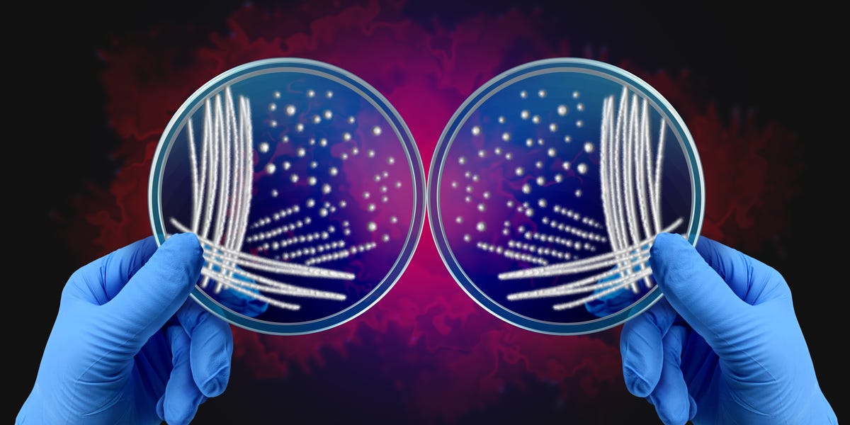 Scientists solved the 150-year-old mystery of why most of your ...