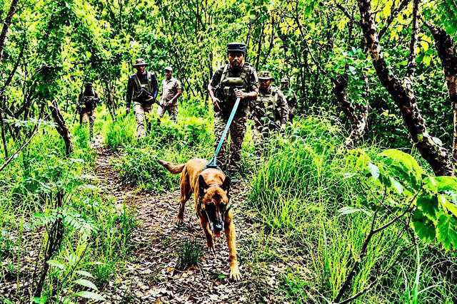 Manipur's chief minister calls for disarmament amid hostage crisis