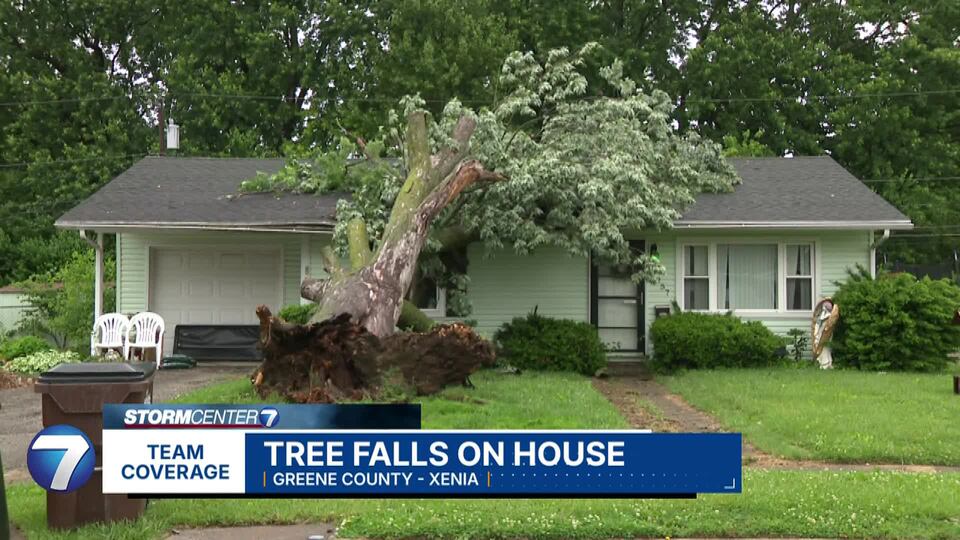 Tree falls on house during Tuesday night's storm
