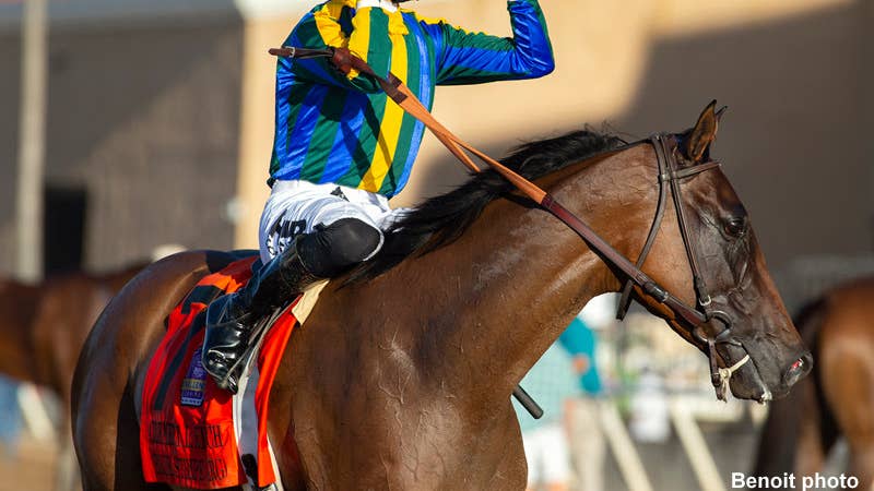 Grade 1 winner Blue Stripe dies in Japan at age 9