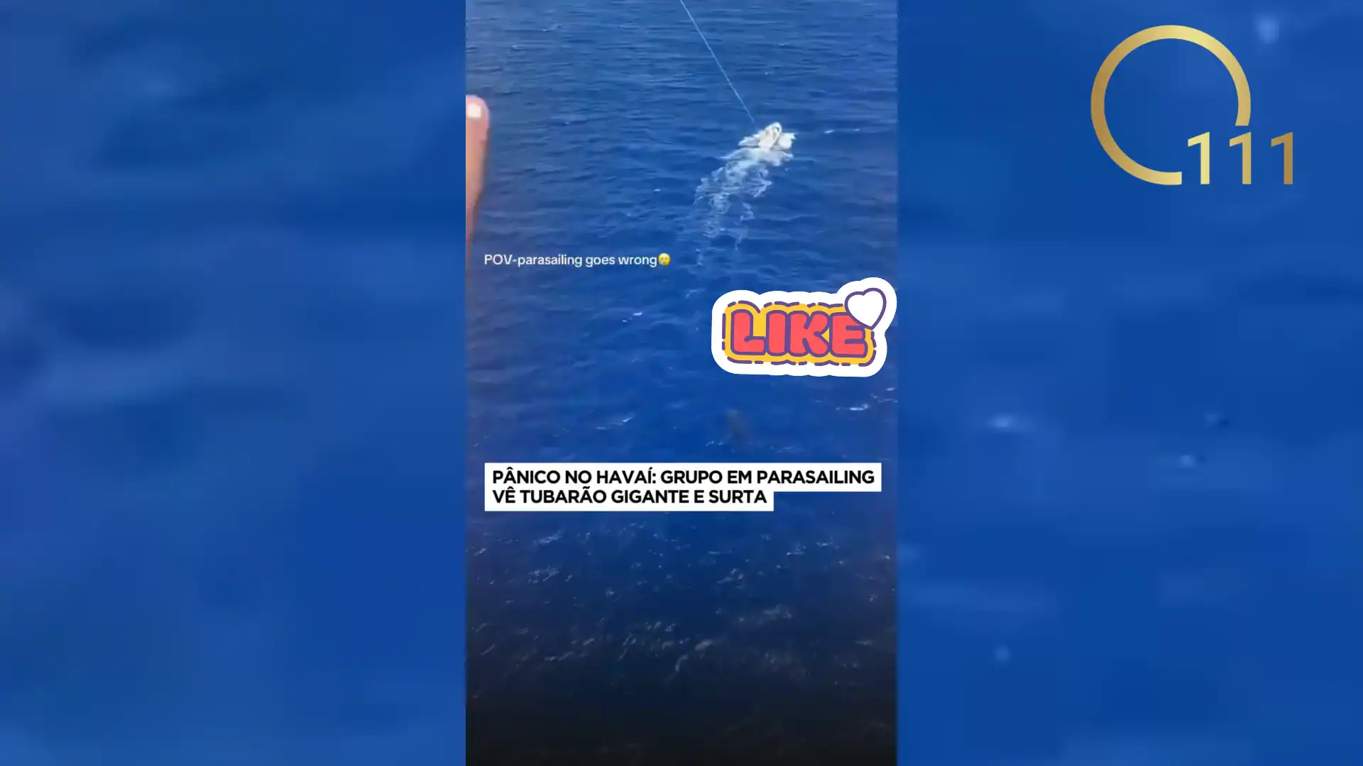 Pânico no Havaí: Grupo em parasailing vê tubarão gigante e surta