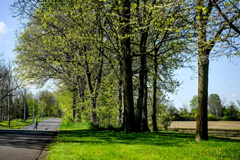 Delta Township postpones vote on rezoning for 100 new homes