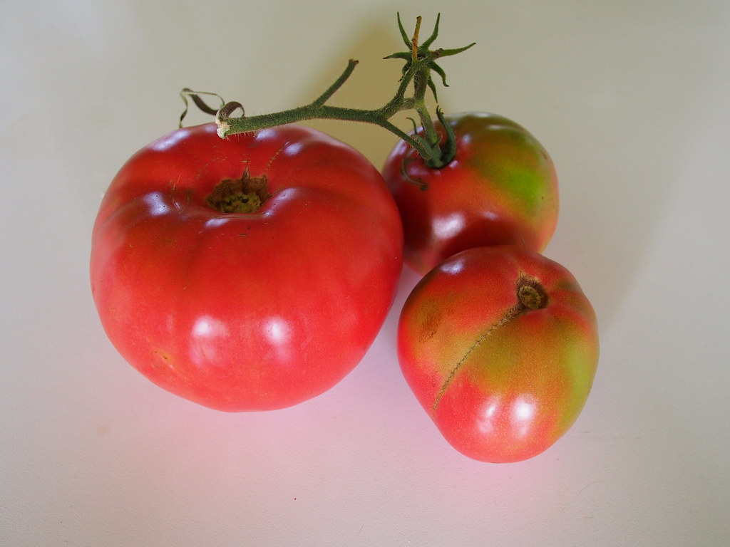 12 heirloom vegetables that taste better than anything in the store