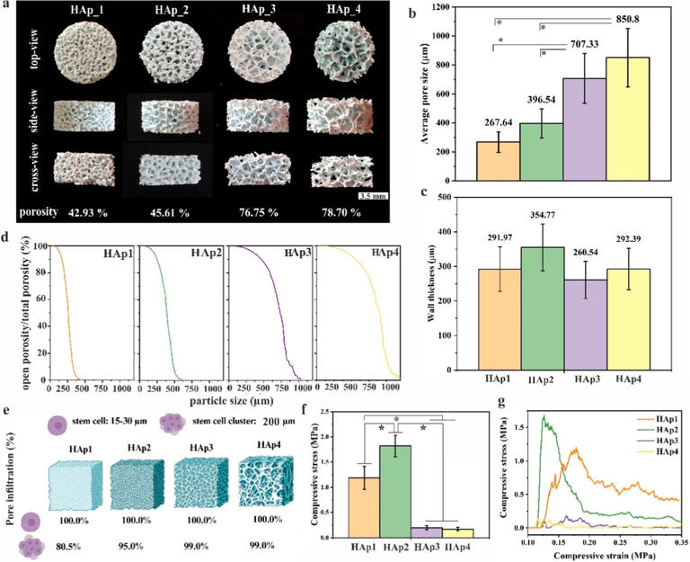 Scientists develop 3D-printed ceramic bone implants — just like real ...