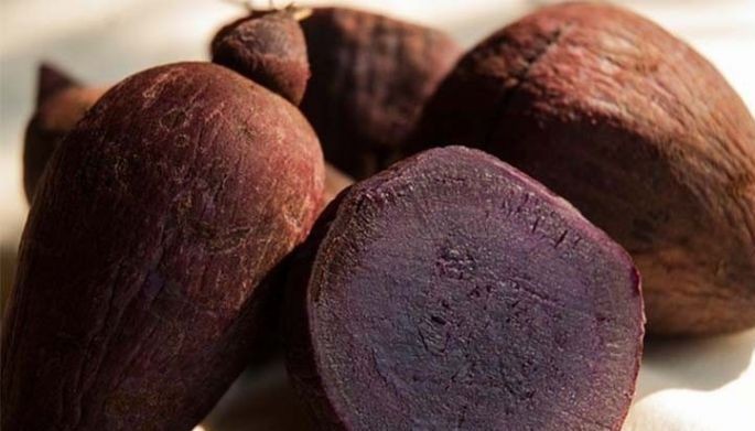 Global purple craze brightens hopes for Philippines ube farmers