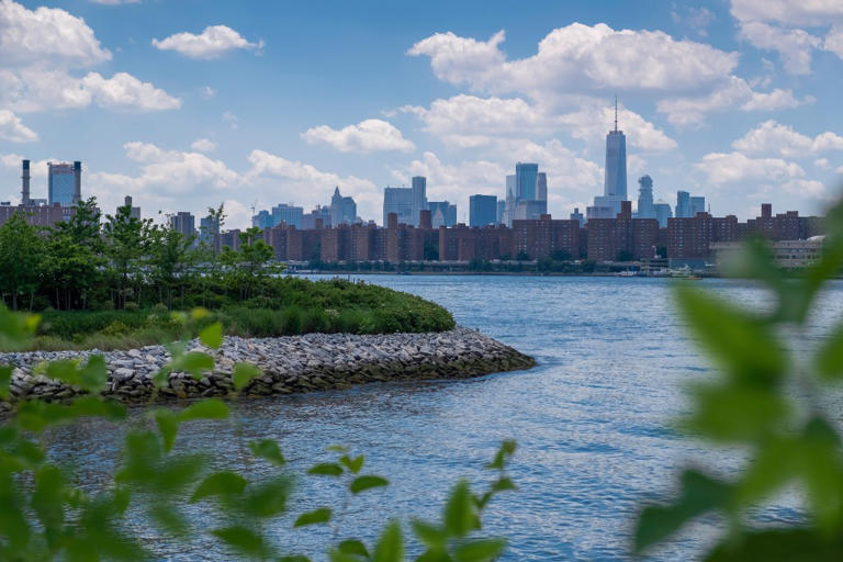 Man, 80, found dead floating in waters off Queens park