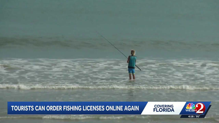 Florida reinstates online fishing licenses ahead of red snapper season