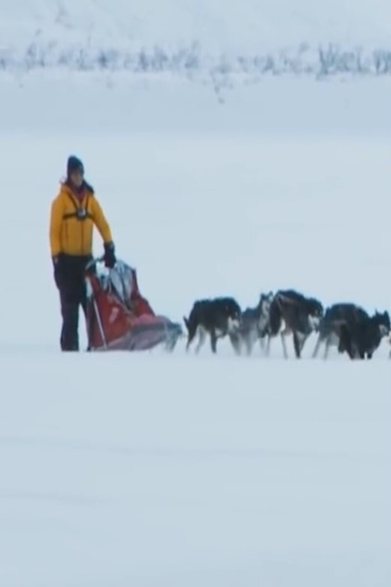 From runway model to Alaskan sled dog musher