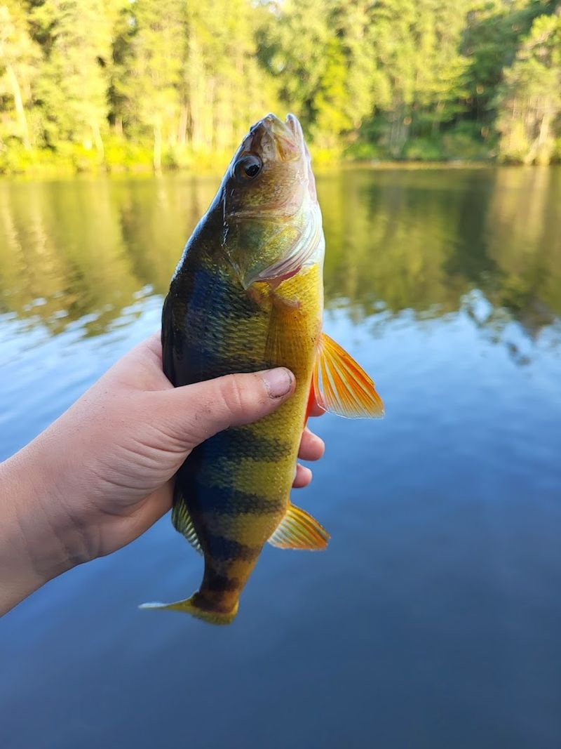 This hidden New Jersey lake is the serene fishing escape you’ve been ...