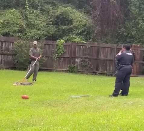 Alligator captured in Byram neighborhood backyard