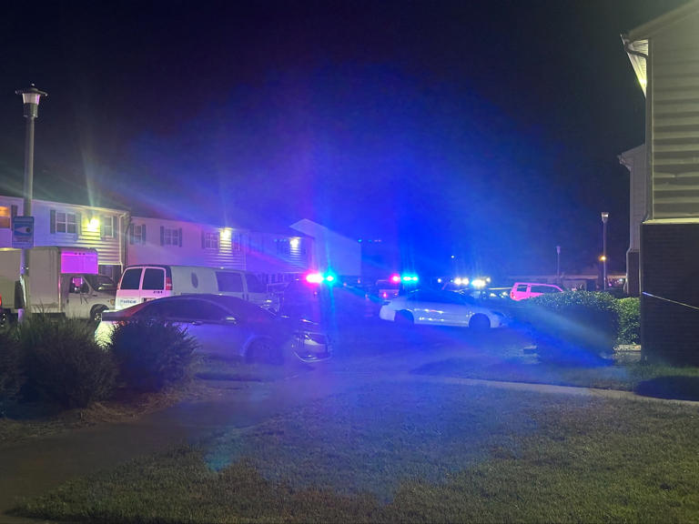 HPD: 2 men shot on Lassiter Drive