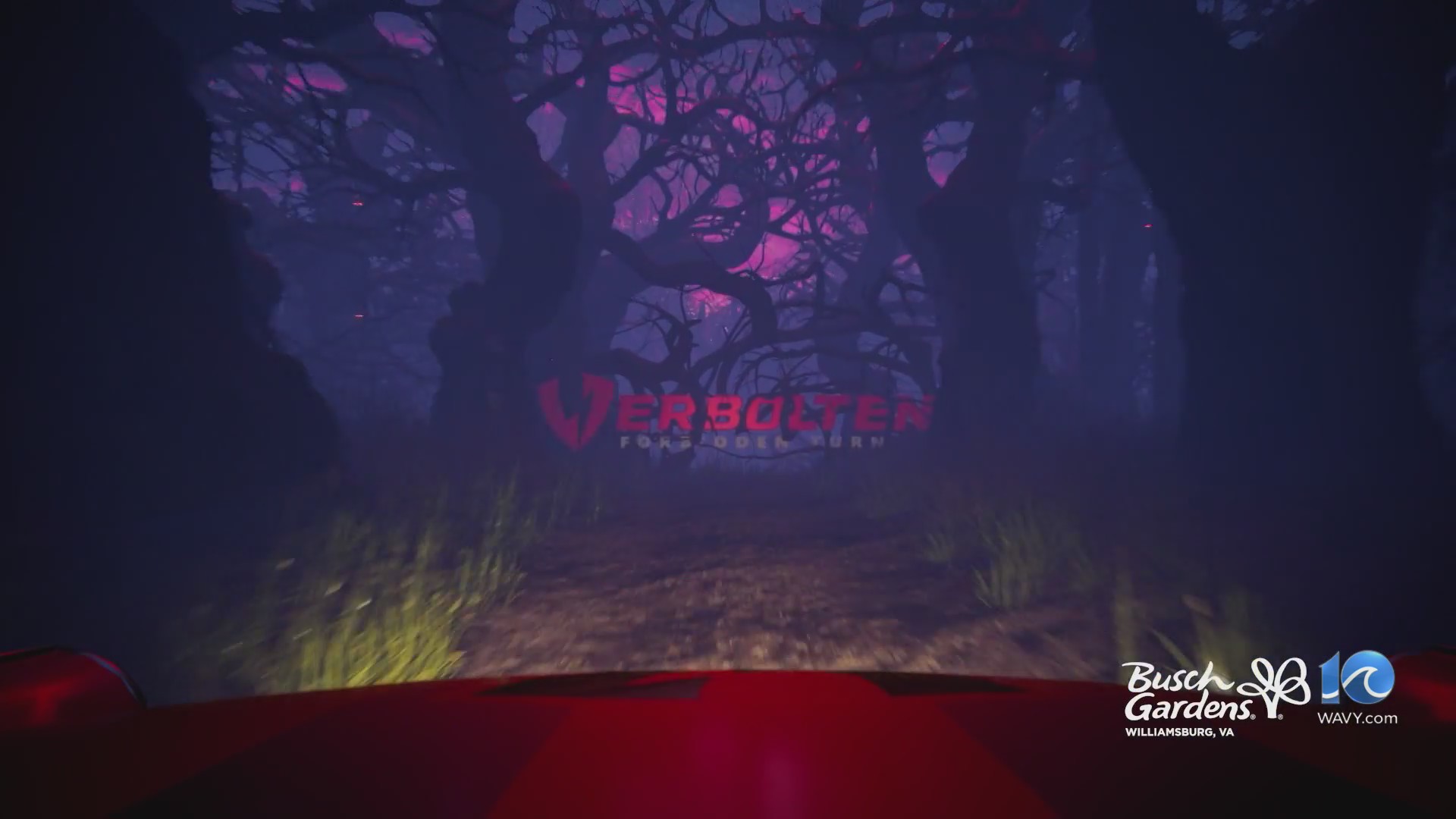 Verbolten: Forbidden turn to open at Busch Gardens Williamsburg