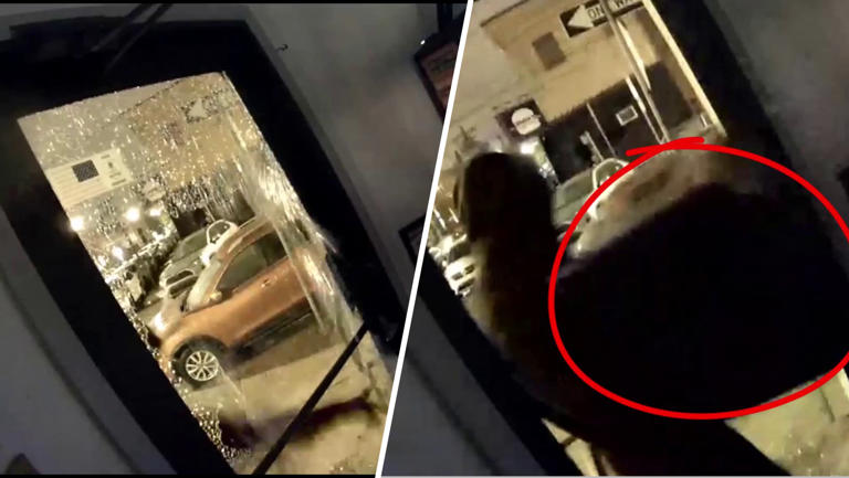 Suspect caught on camera stealing cabinet full of lottery tickets from ...