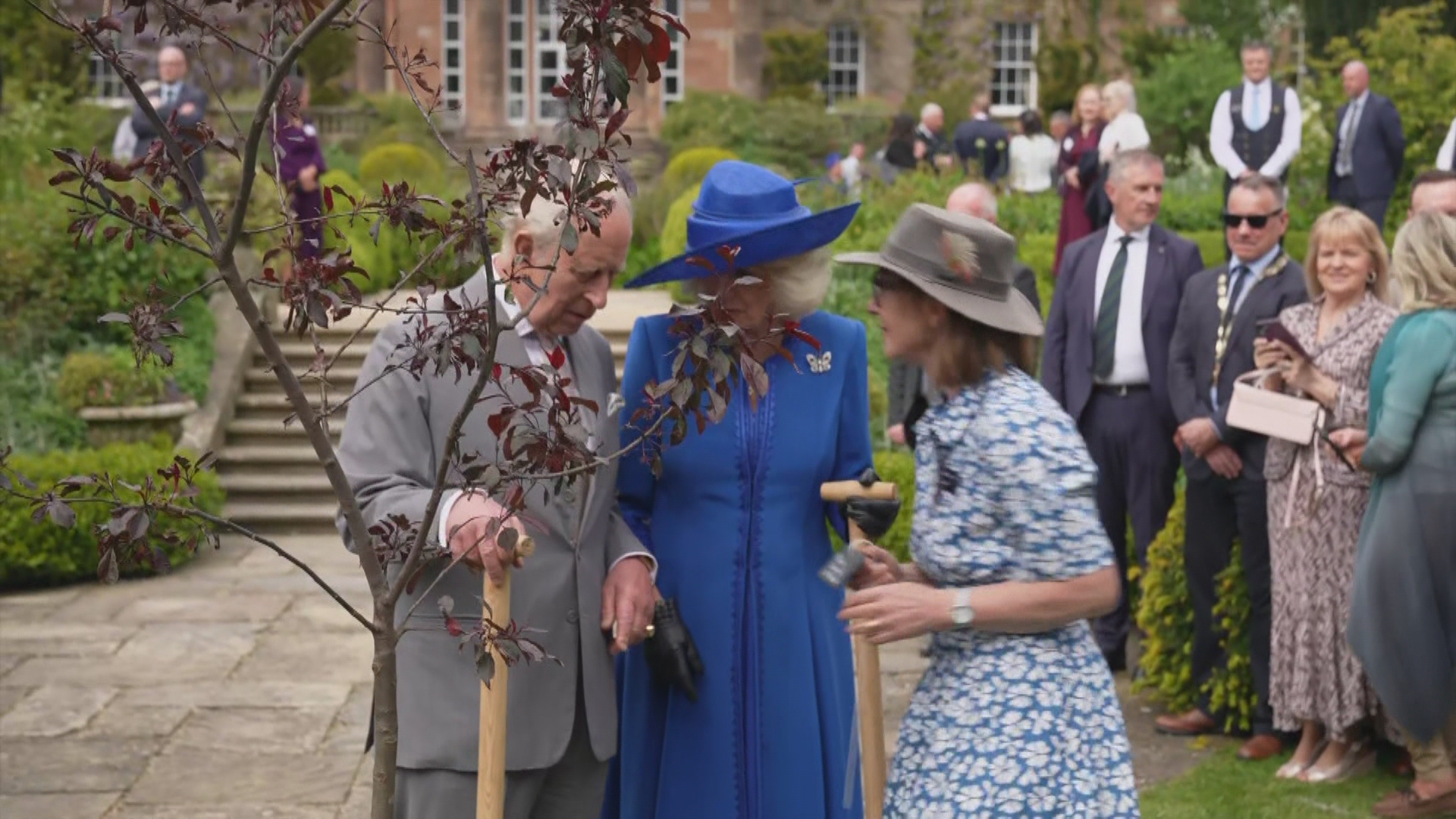 King and Queen plant tree at garden party in NI