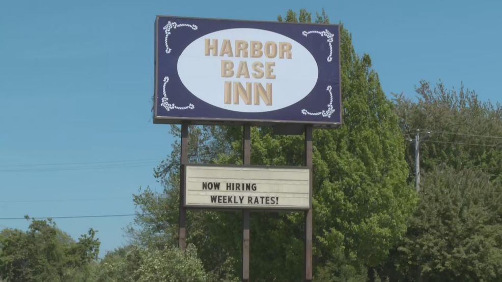 Police identify man who allegedly killed mother at hotel before jumping ...